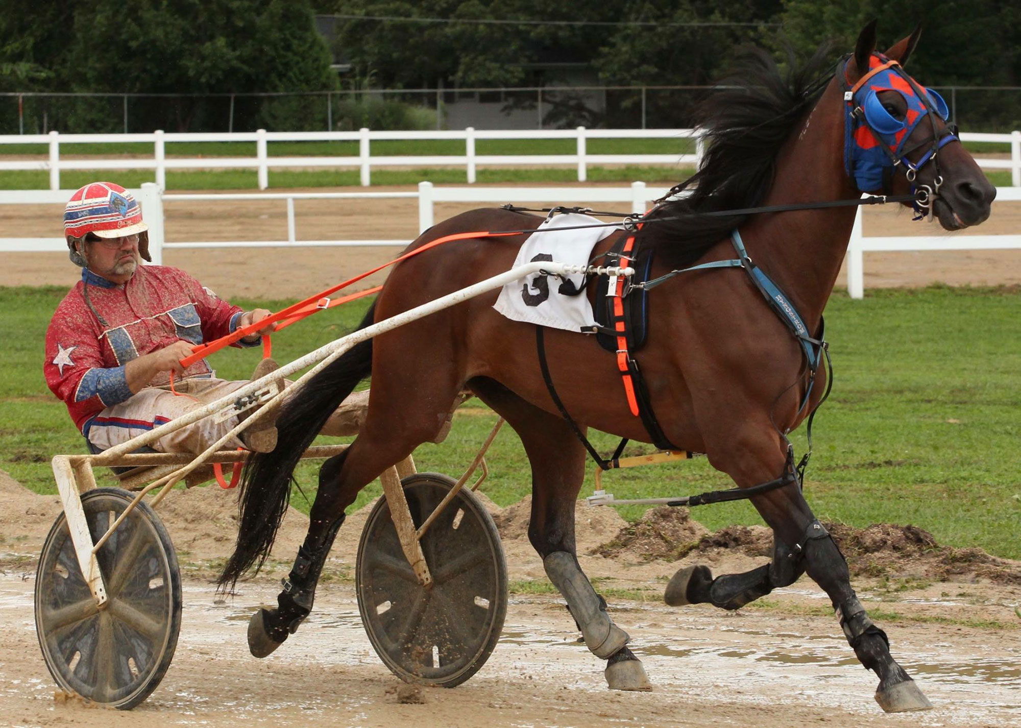 Discover The Thrill of Harness Racing - Hyngstrom Racing