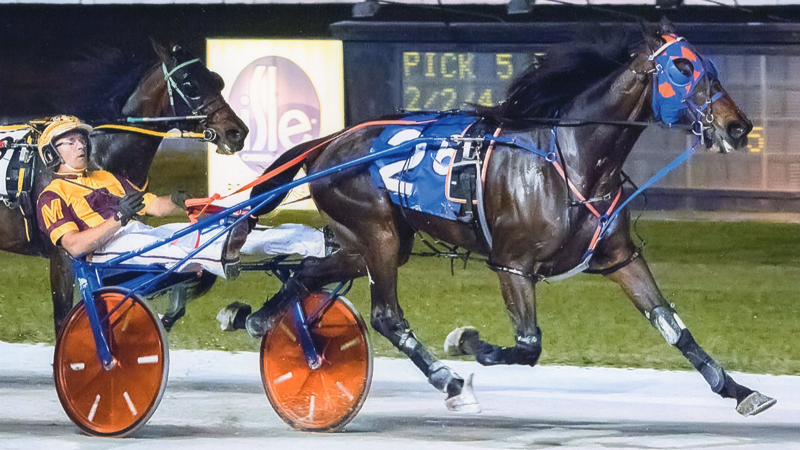 Discover The Thrill of Harness Racing - Hyngstrom Racing