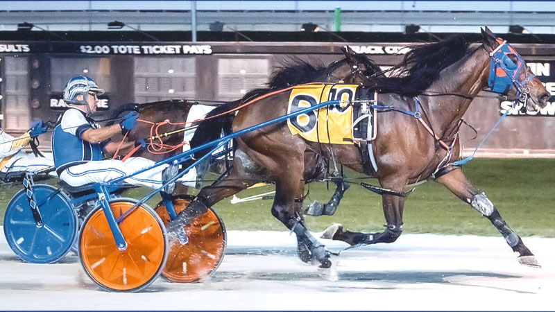 Discover The Thrill of Harness Racing - Hyngstrom Racing